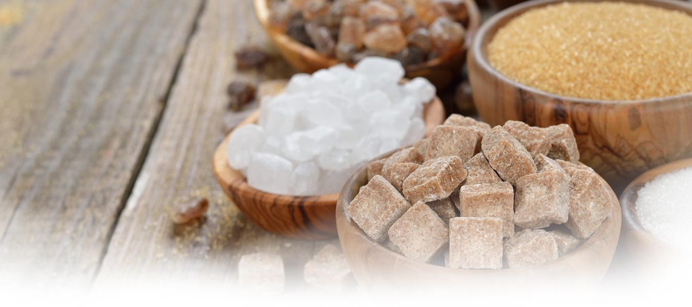 Sugar Journal Magazine — Sugar Notables